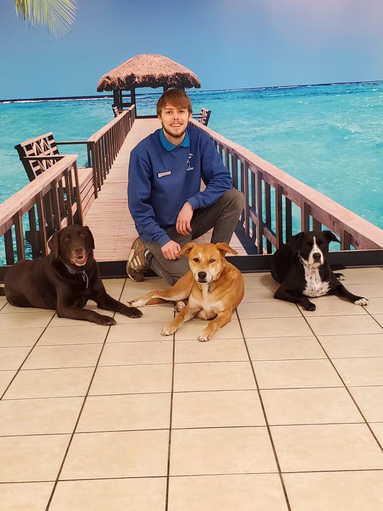 Our Team of Professionals at Woof Beach Batavia, IL