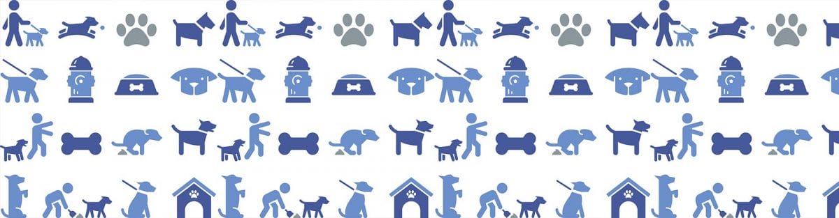 About Us at Woof Beach in Batavia, IL | Dog Grooming | Dog Training